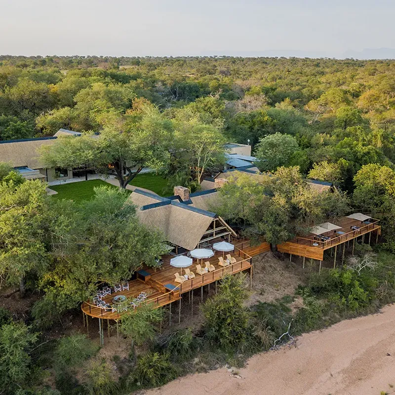Thornybush Lodge | Perfect Hideaways
