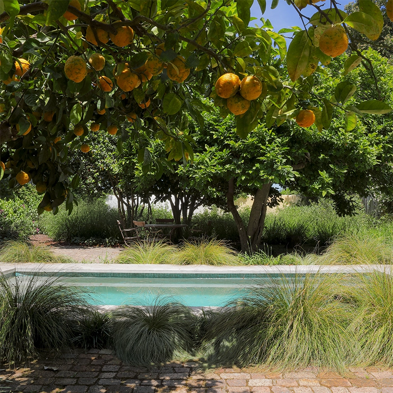 Greyton | Perfect Hideaways