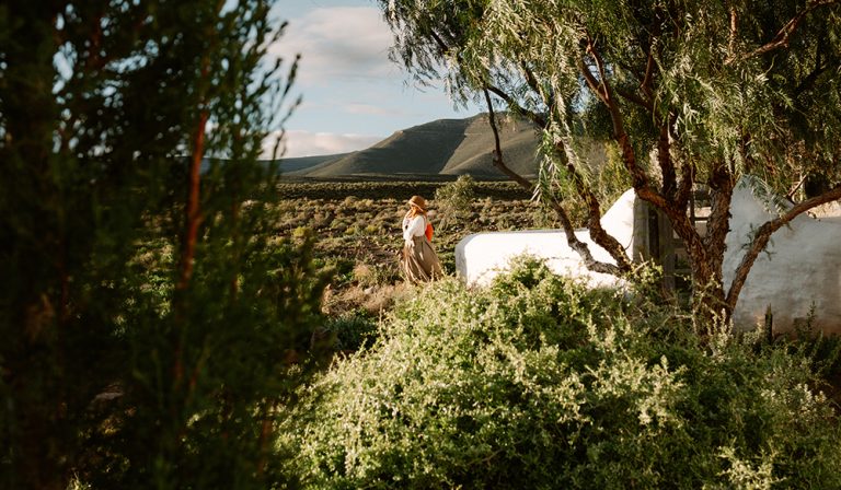 DE KRUIS: UNTAMED TANKWA KAROO | Perfect Hideaways | Travel Stories