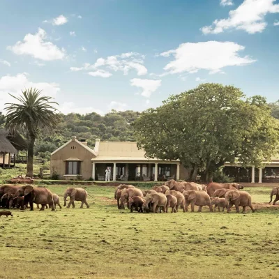 Addo Elephant National Park | Perfect Hideaways