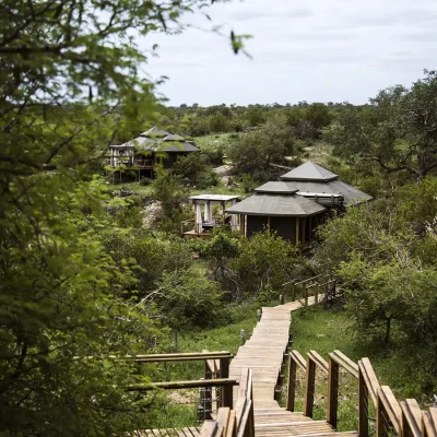 Timbavati Private Nature Reserve | Perfect Hideaways