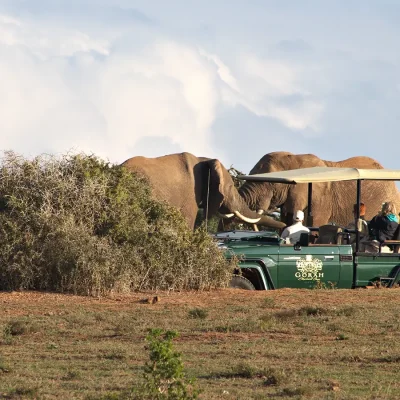 Addo Elephant National Park | Perfect Hideaways