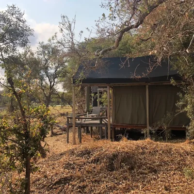Timbavati Private Nature Reserve | Perfect Hideaways