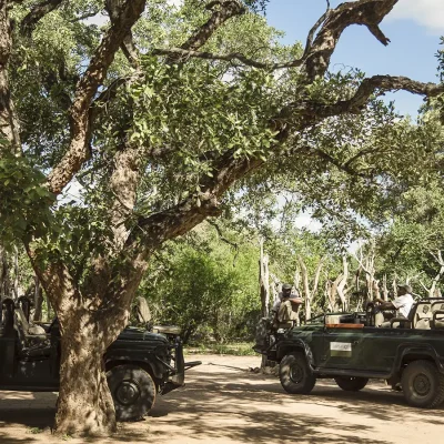 Timbavati Private Nature Reserve | Perfect Hideaways