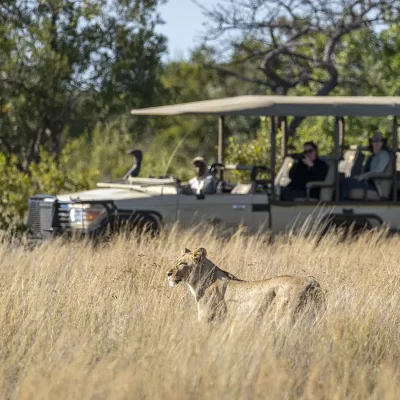 Lapalala Wilderness Reserve | Perfect Hideaways